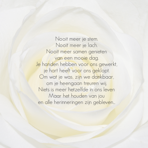 Stijlvolle rouwkaart met witte roos en grijze tekst