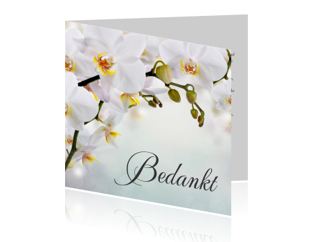 Mooie bedankkaart met witte orchidee en vergrijsd groen